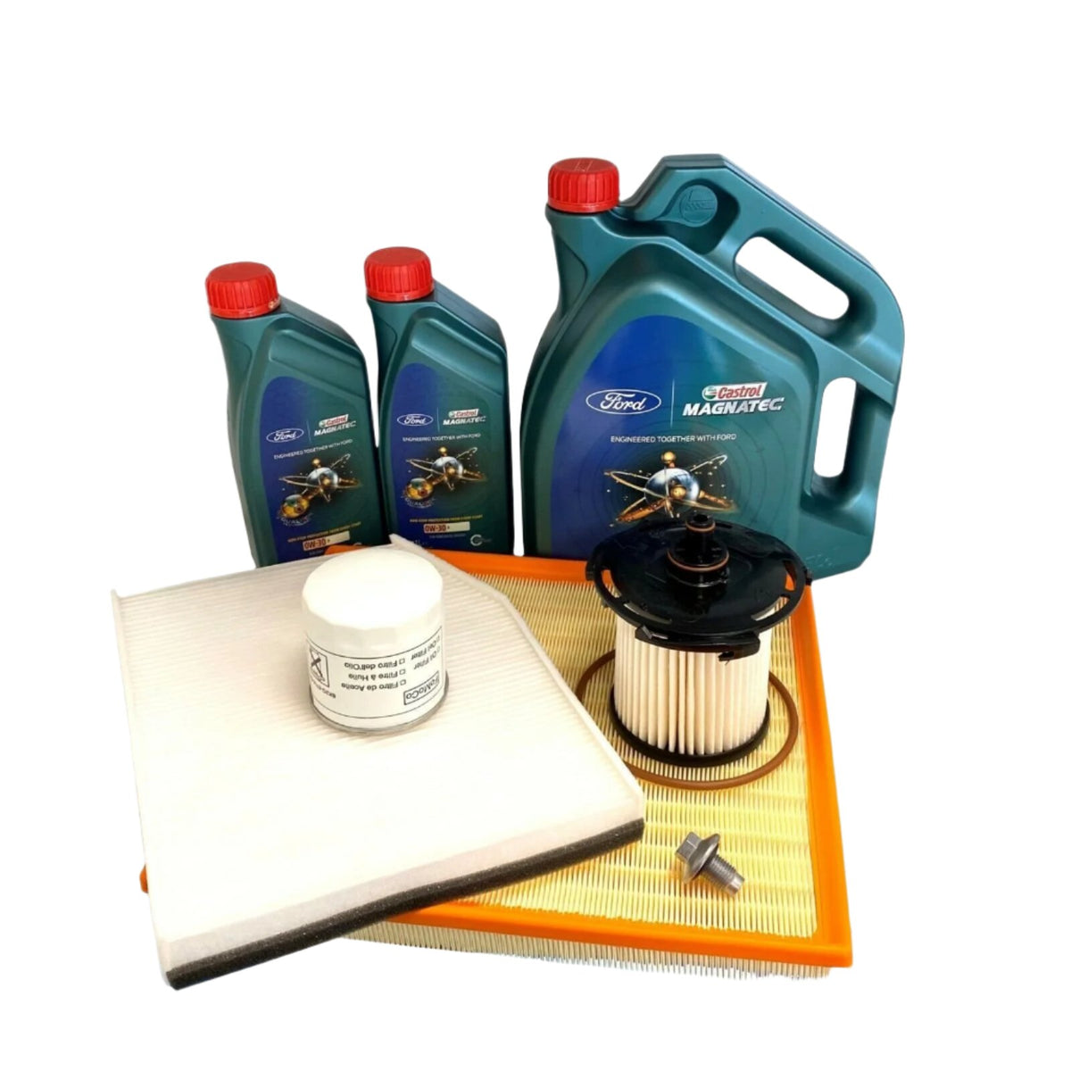 Genuine Ford Transit Custom 2.2 TDCI Full Service Kit Inc Castrol Engi ...